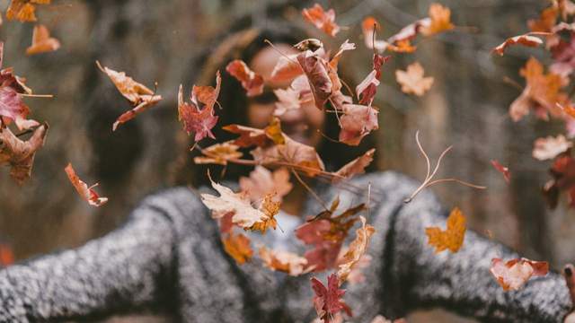 Things to Do in Krakow in Autumn - Complete Fall Travel Guide