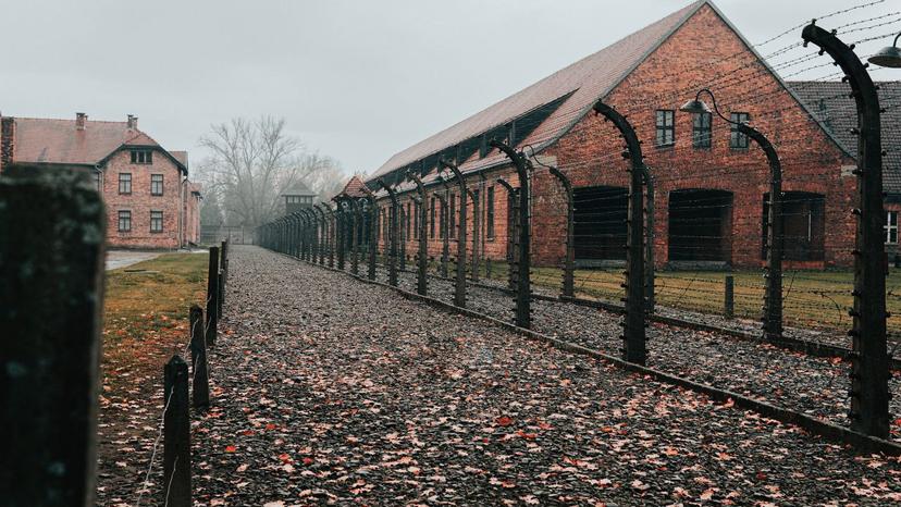 Death March from Auschwitz - The Final Evacuation of the Camp in 1945